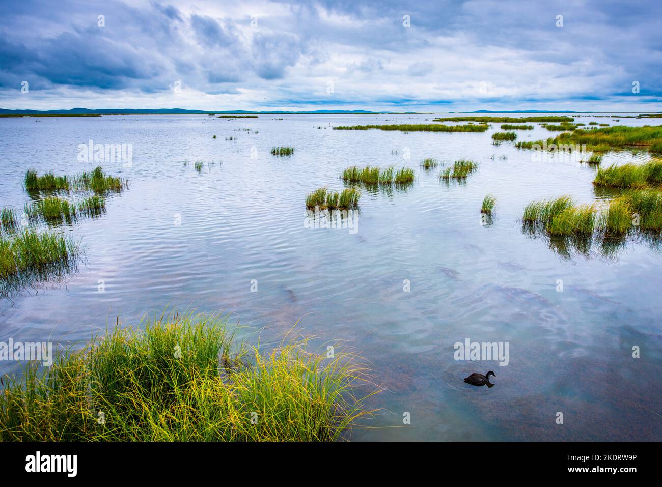Zoige grasslands hi-res stock photography and images - Alamy