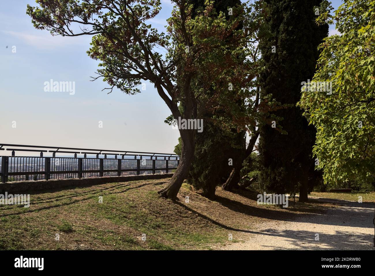 Terrace with trees above a city in a park Stock Photo - Alamy