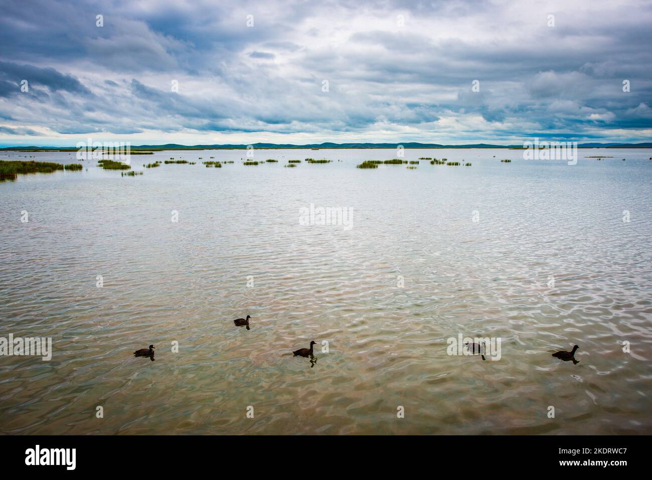Zoige grasslands hi-res stock photography and images - Alamy