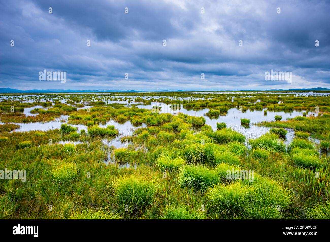 Zoige grasslands hi-res stock photography and images - Alamy