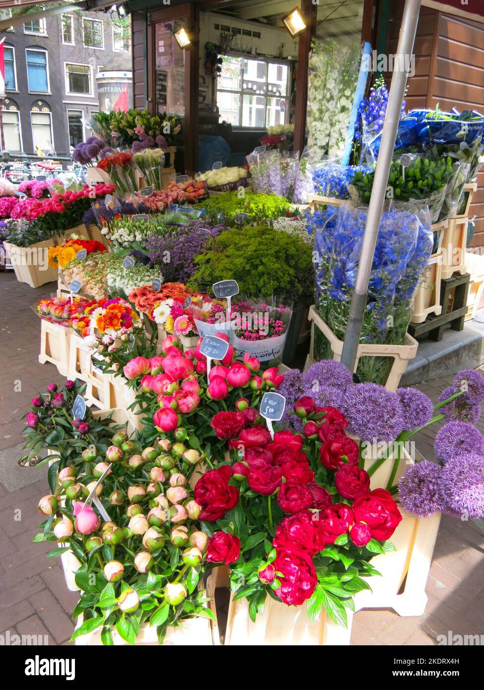 Beautiful displays of flowers hi-res stock photography and images - Alamy