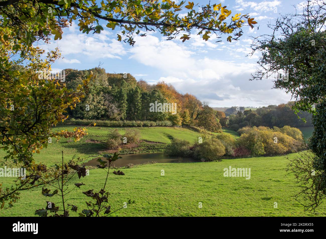 Tree colour yorkshire hi-res stock photography and images - Alamy