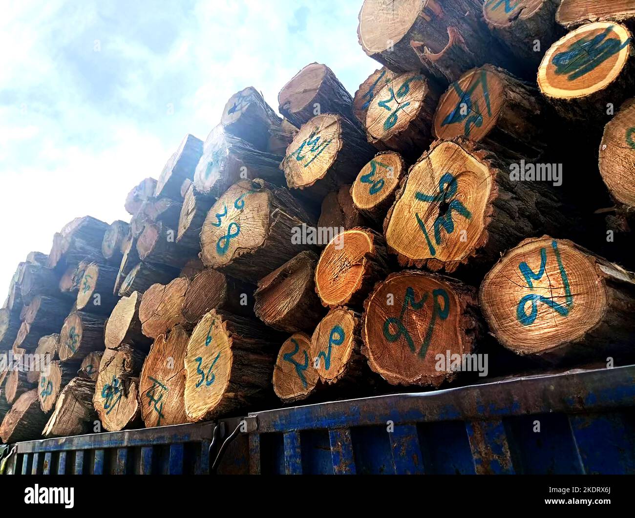 Timber timber hi-res stock photography and images - Alamy