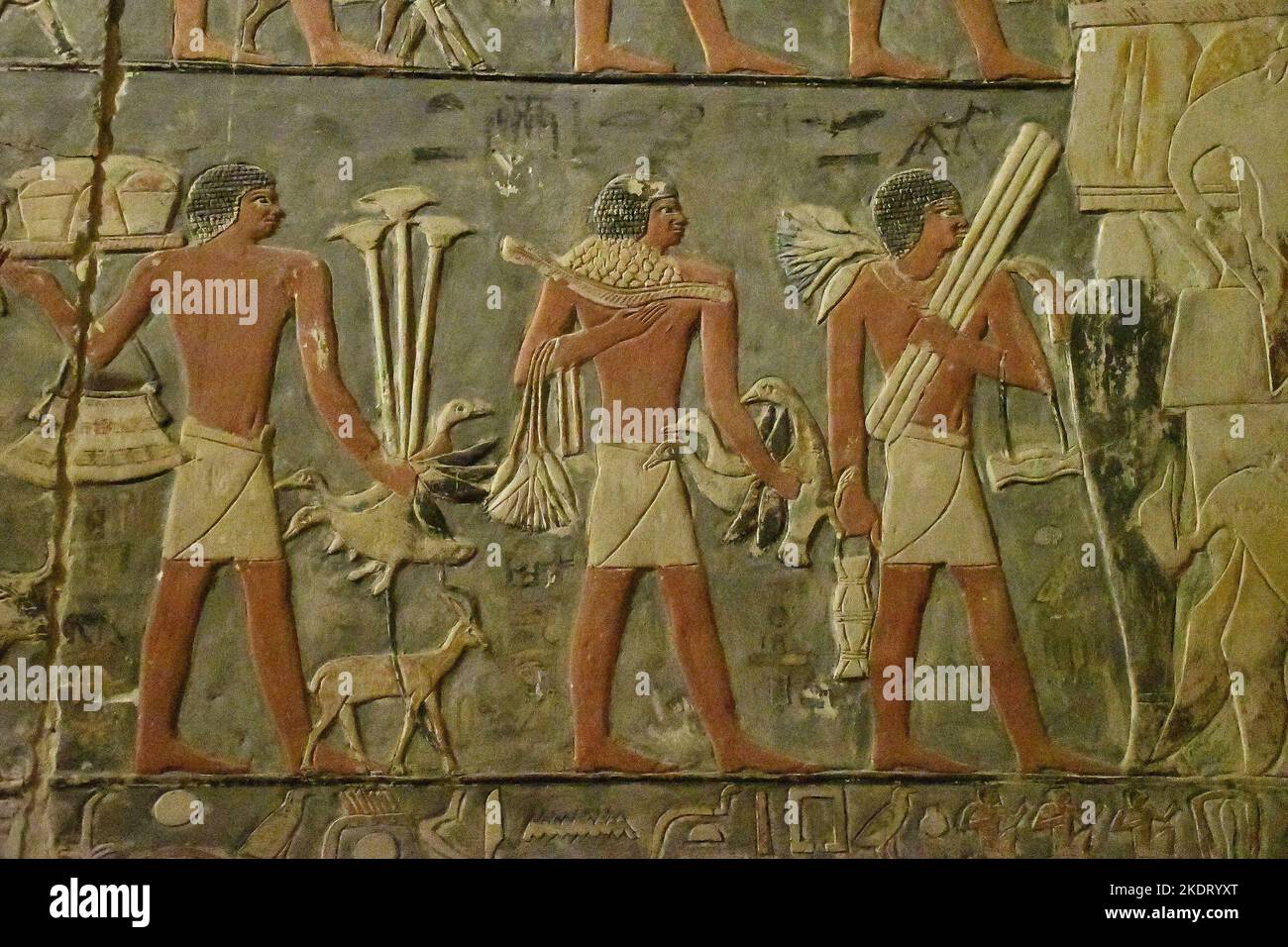 Tomb mehu saqqara egypt hi-res stock photography and images - Alamy