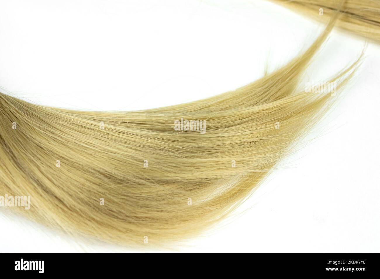 Blond shiny hair wave, on white. Strand of blond hair on white. Curls ...