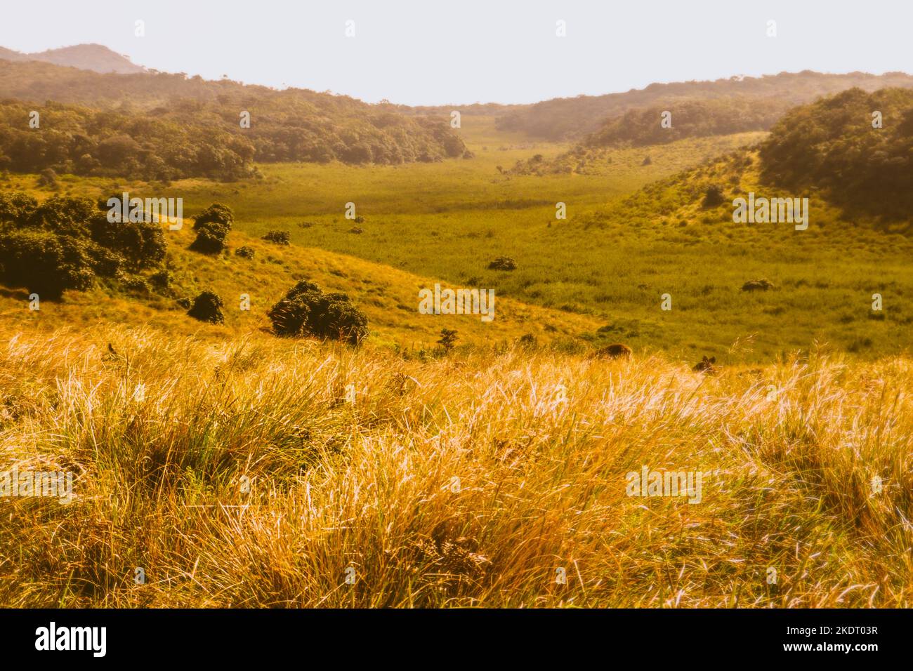 Horton plain hi-res stock photography and images - Alamy
