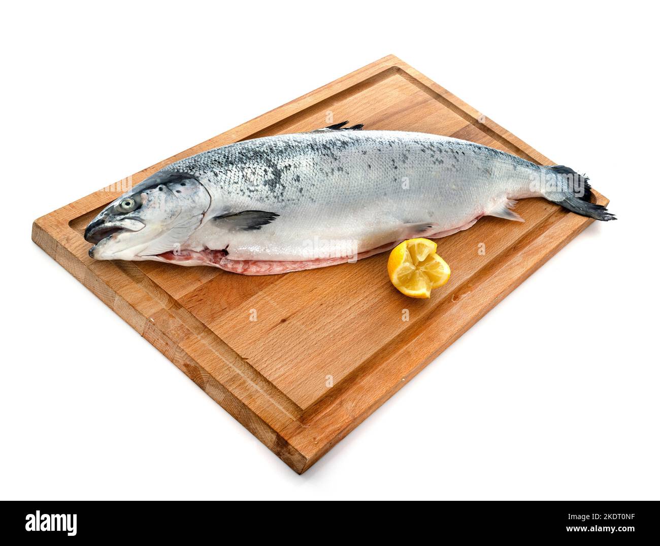fresh salmon in front of white background Stock Photo - Alamy