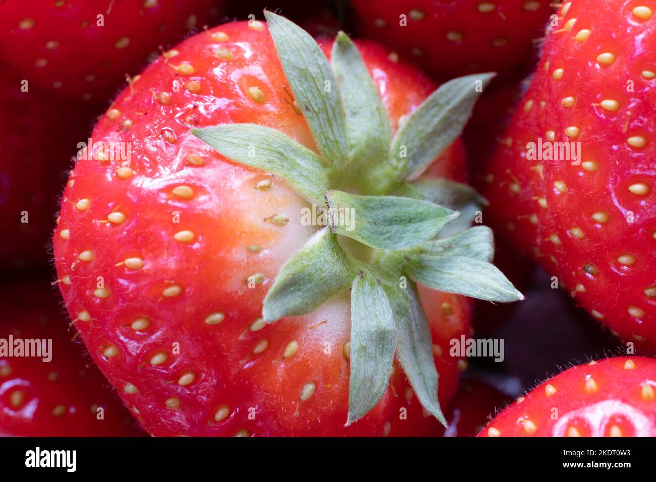 Delicious strawberries with green crown, narrow depth of field, narrow ...