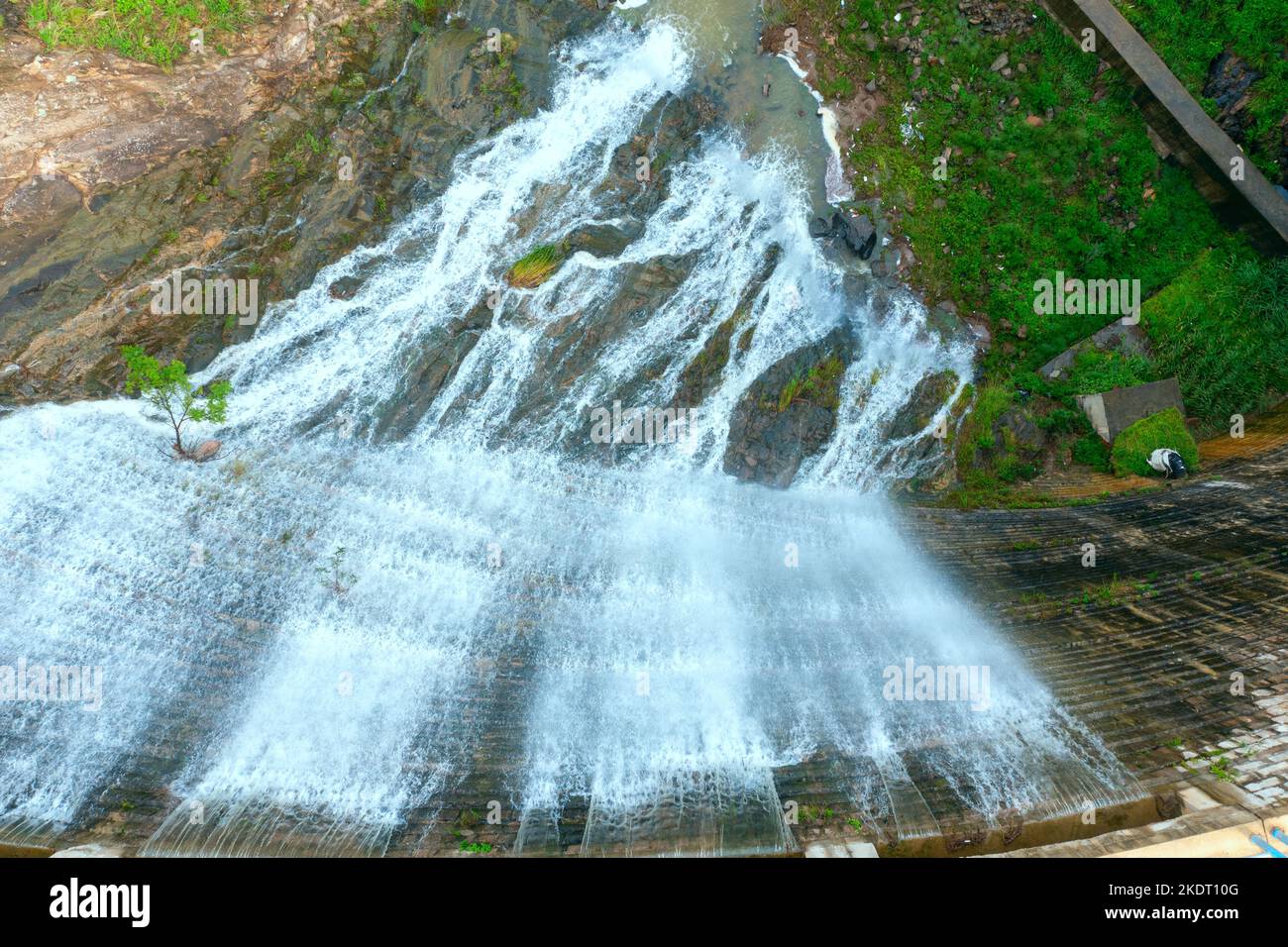 Plutus hi-res stock photography and images - Alamy