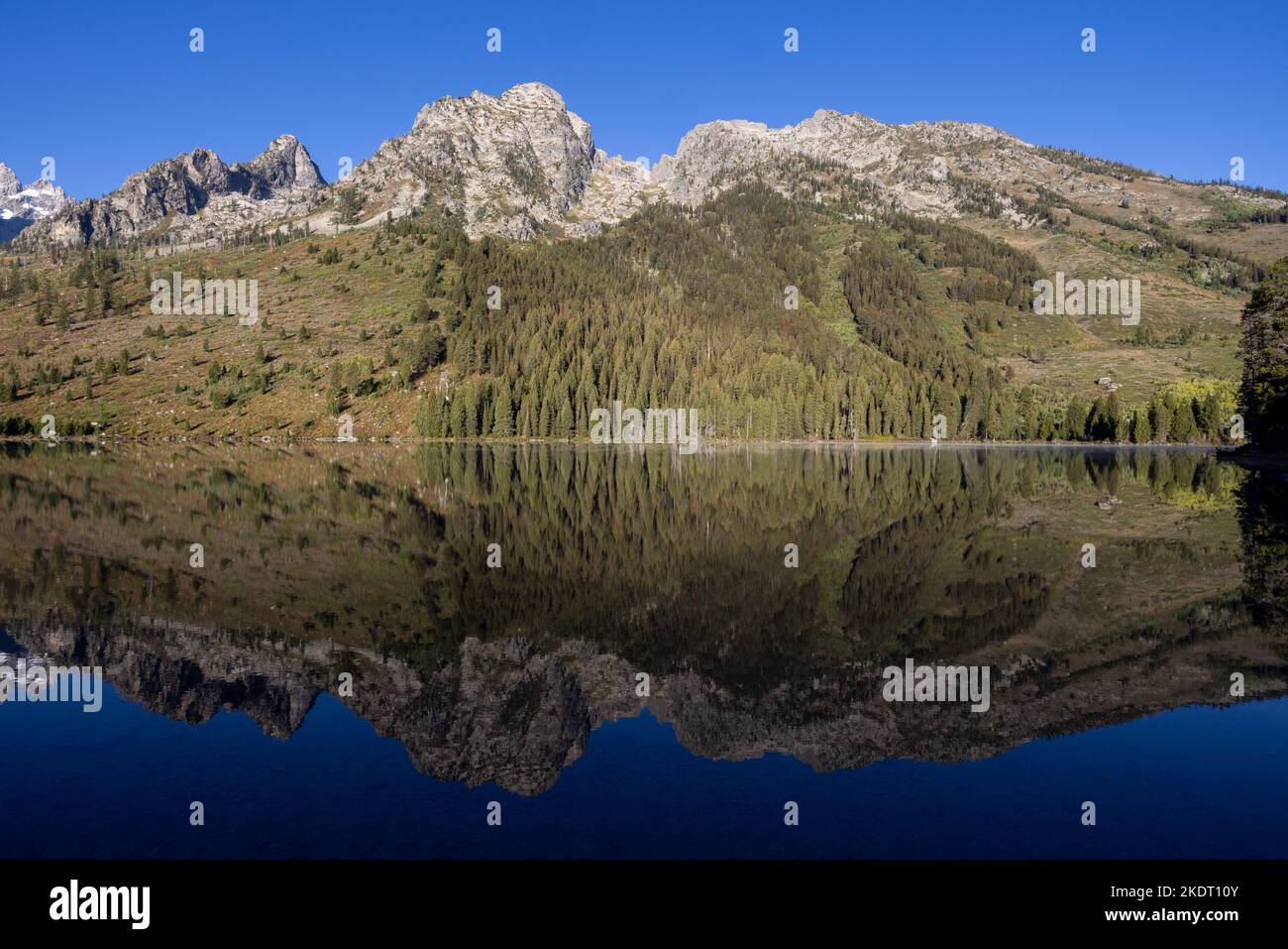 Scenic Reflection Landscape in Grand Teton National Park Wyomng in ...