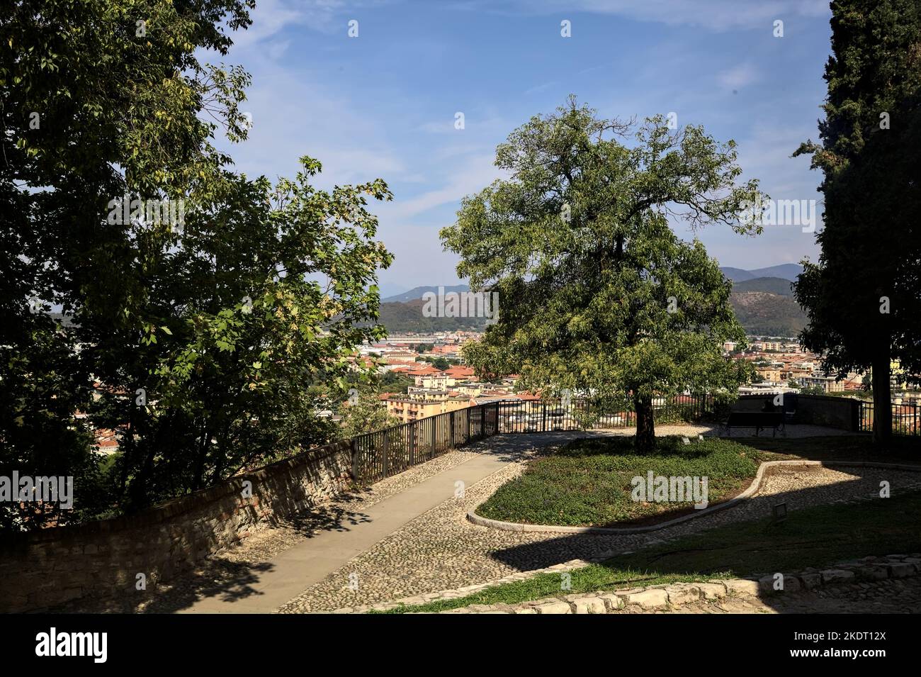 Terrace with trees above a city in a park Stock Photo - Alamy