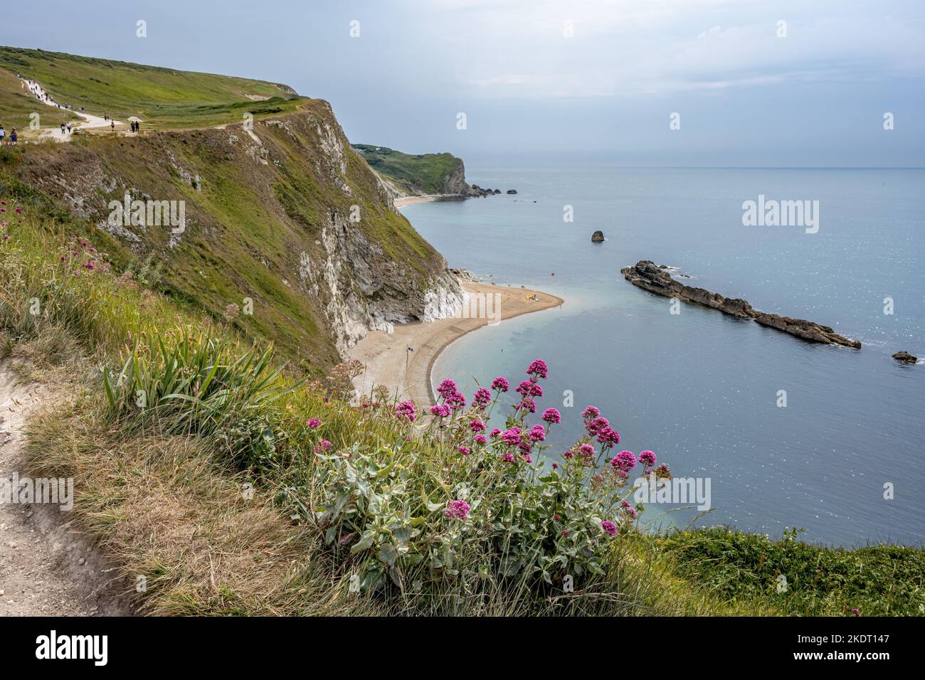 Coastal cliffs near Durdle Door Stock Photo - Alamy
