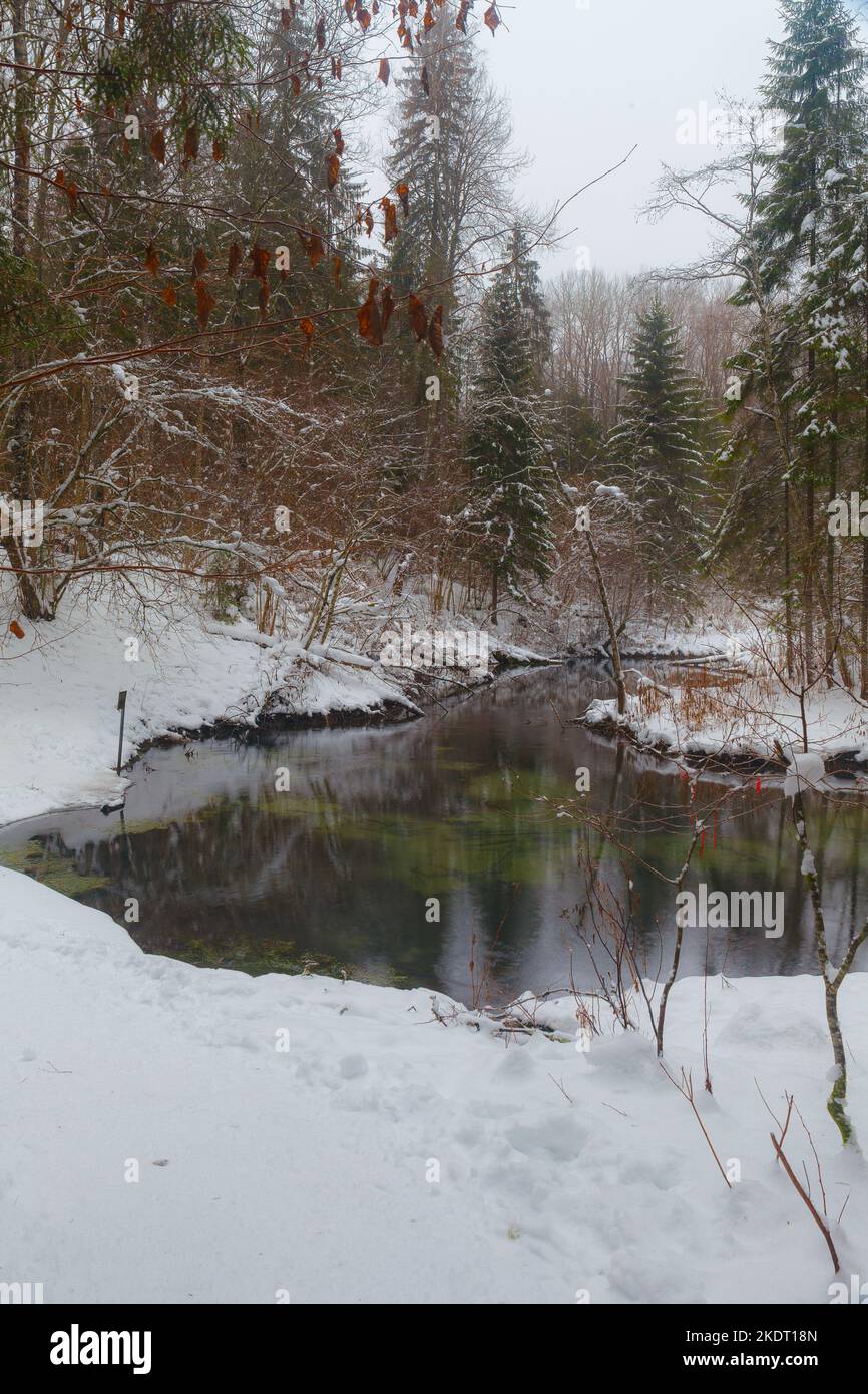 Saula blue springs (siniallikad in Estonian) at snowy winter Stock ...