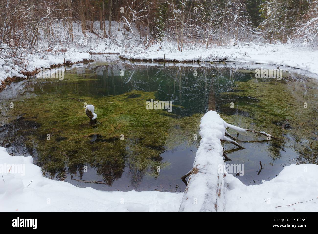 Saula blue springs (siniallikad in Estonian) at snowy winter Stock ...