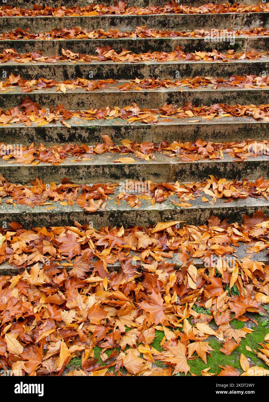 Wallpaper stairs hi-res stock photography and images - Alamy