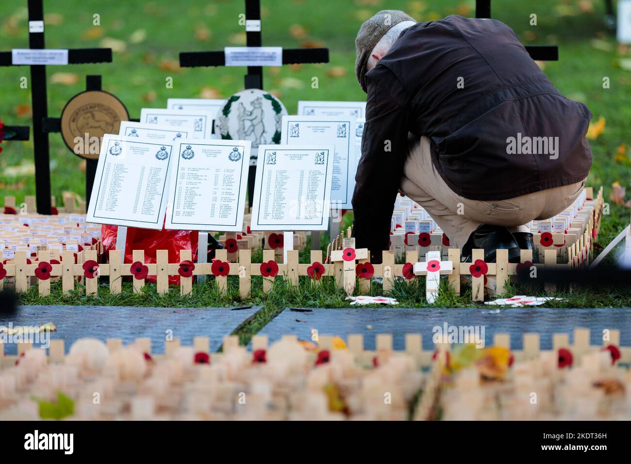 Westminster, London, 8th November 2022. A volunteer lays wooden crosses ...