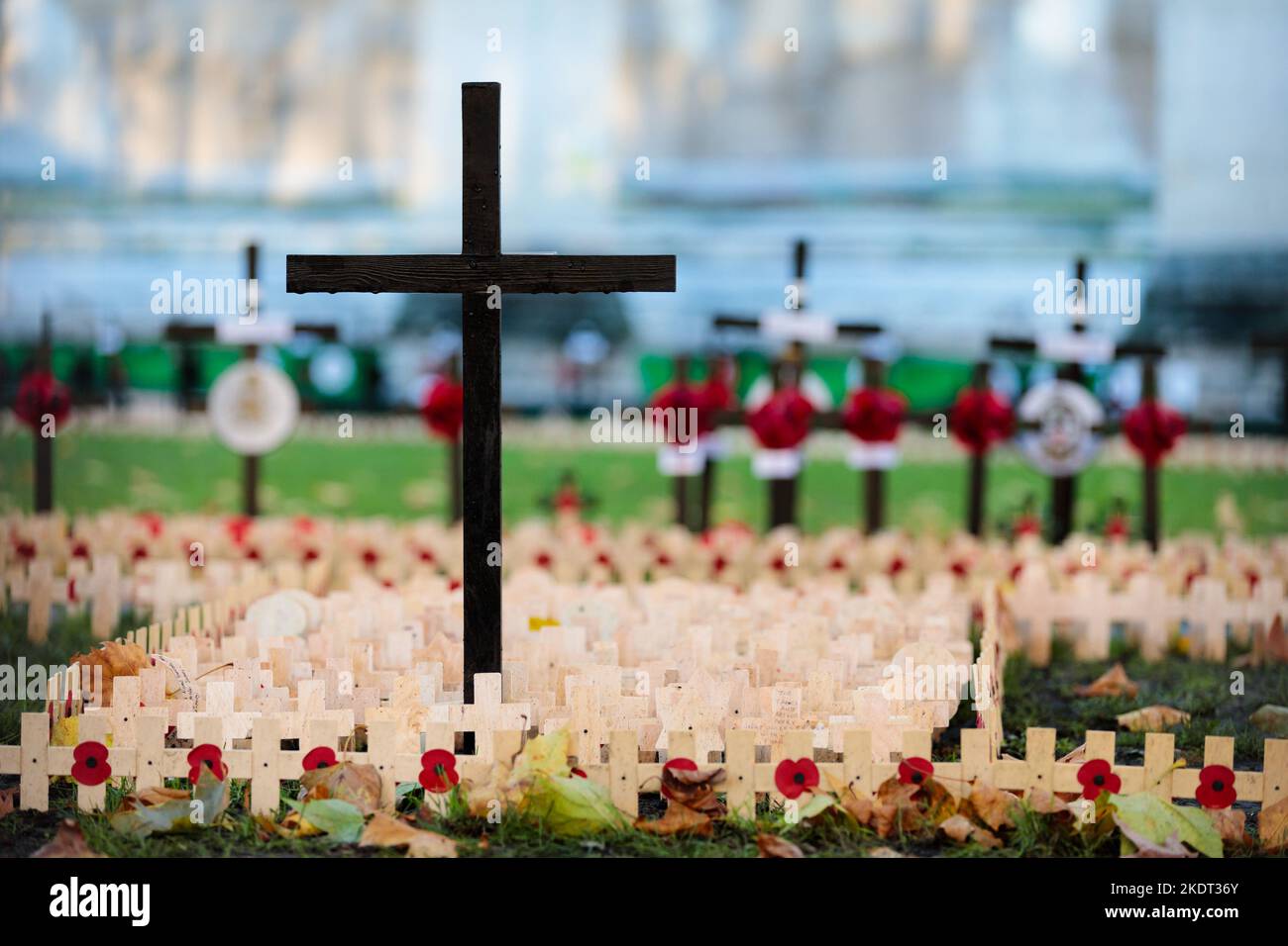 Westminster, London, 8th November 2022. The annual Poppy Field, Field ...