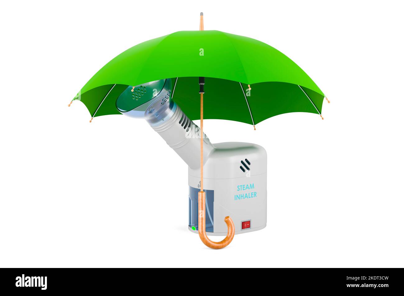 Facial Steamer, Steam Inhaler, Personal Humidifier, Vaporizer or Vocal ...