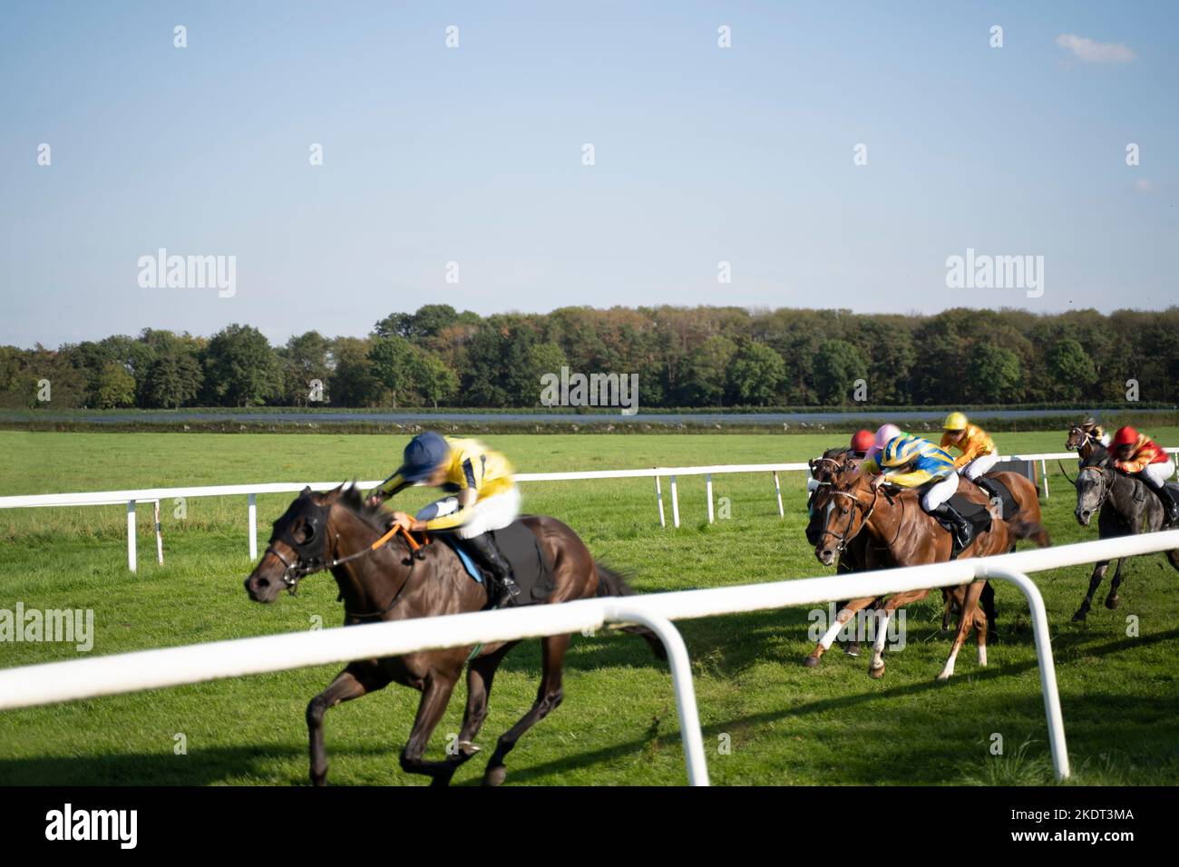 Rider gallops on fast thoroughbred brown horse along track on ...