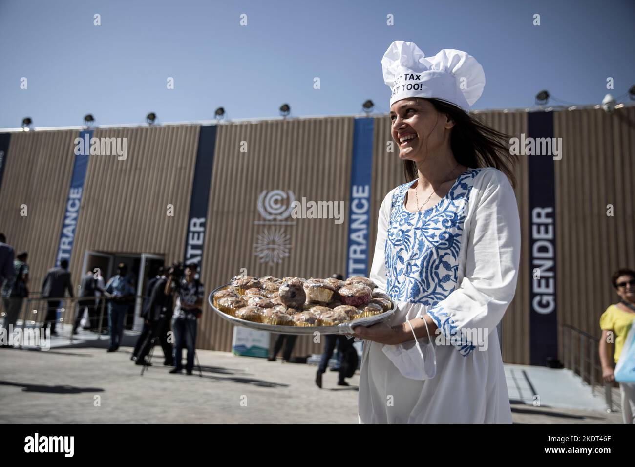 Sharm El Sheikh, Egypt. 08th Nov, 2022. A Vegan activist stands with ...
