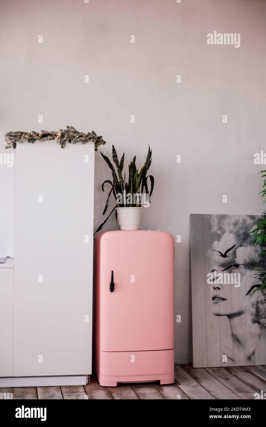Retro style pink fridge in the kitchen. Kitchen interior Stock Photo ...