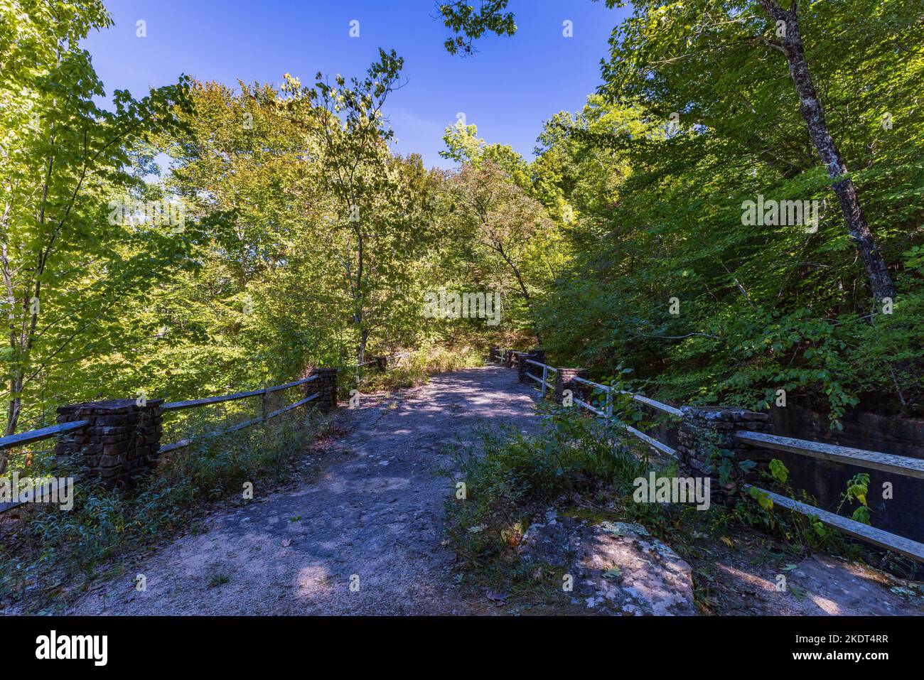 Hiking in the Alum Cove Trail at Arkansas Stock Photo - Alamy