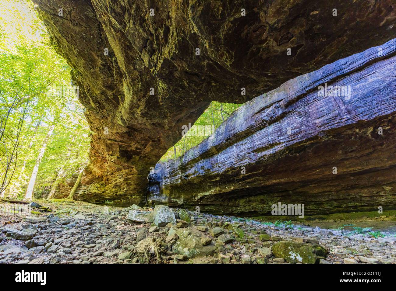 Hiking in the Alum Cove Trail at Arkansas Stock Photo - Alamy