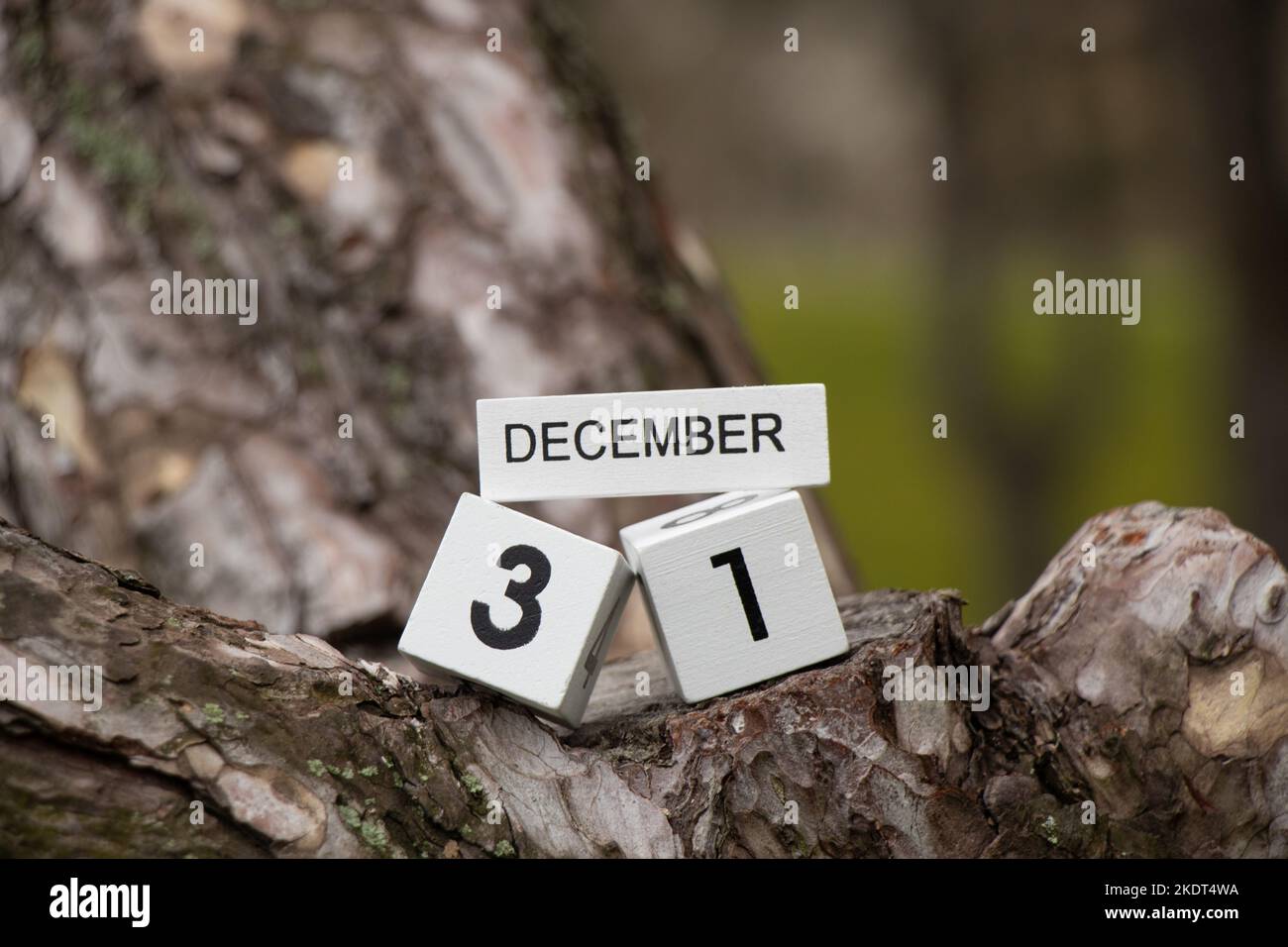 December 31 and text December on wooden cubes stand on a Christmas tree ...