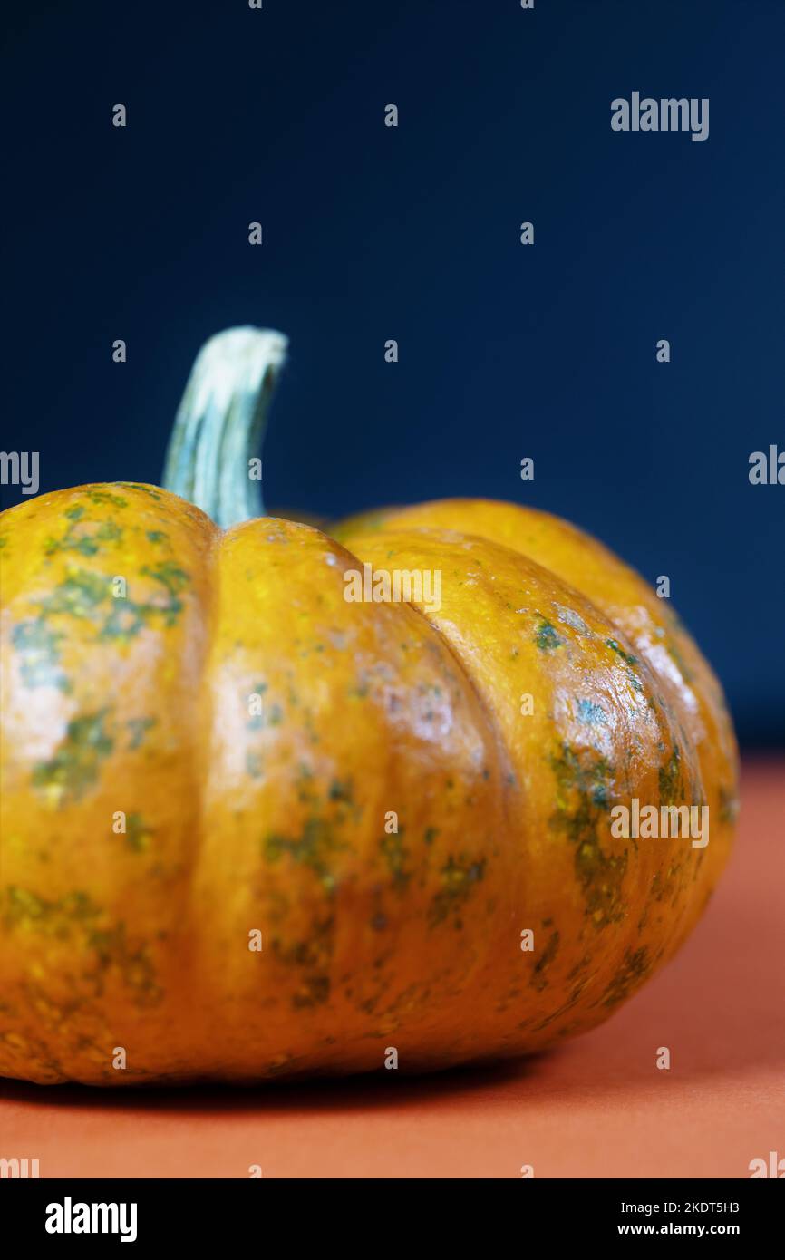 Minimal pumpkin hi-res stock photography and images - Alamy
