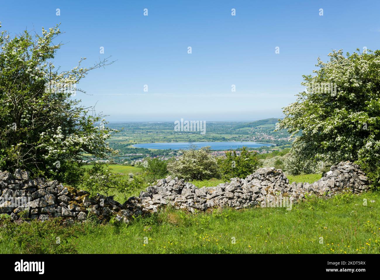 An old limestone wall at Middledown Nature Reserve in the Mendip Hills ...