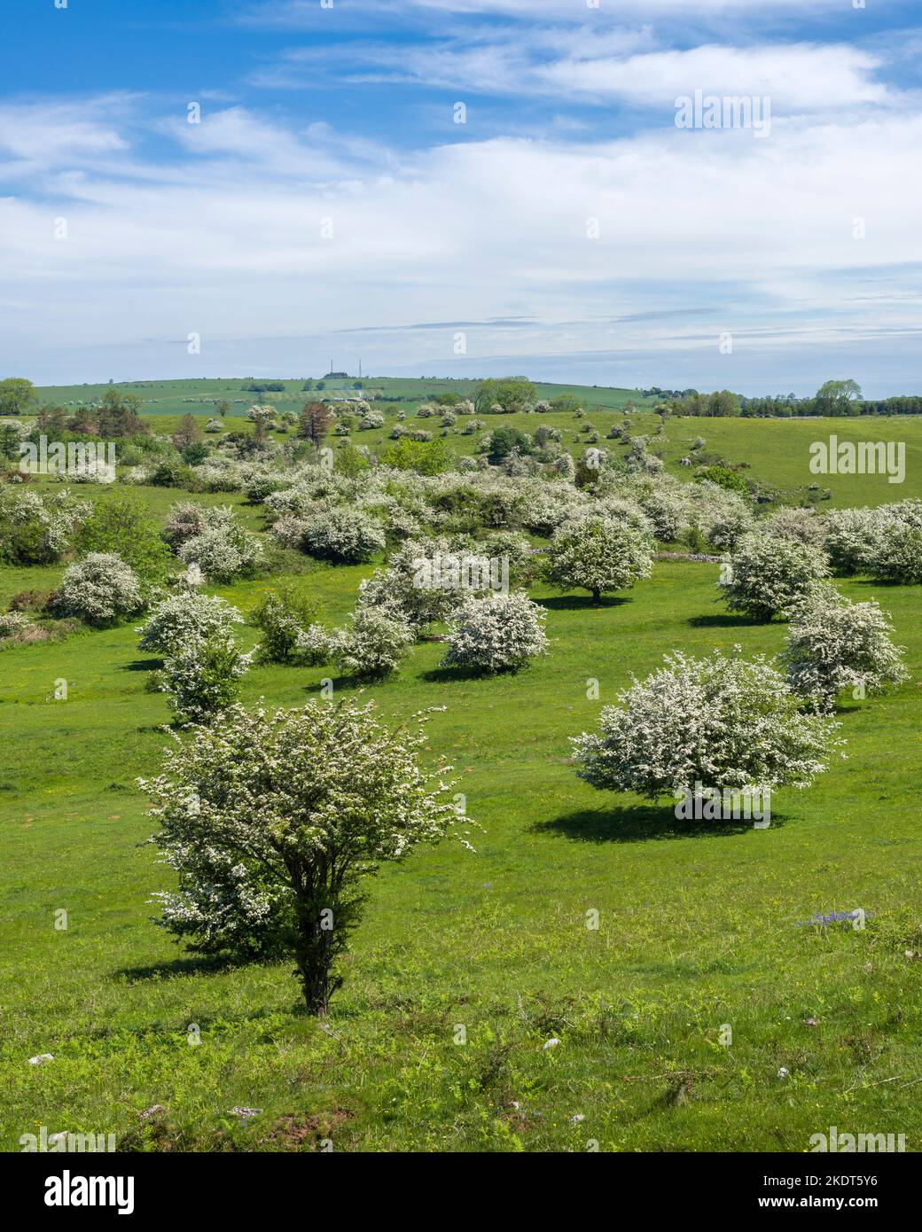 Middledown nature reserve hi-res stock photography and images - Alamy