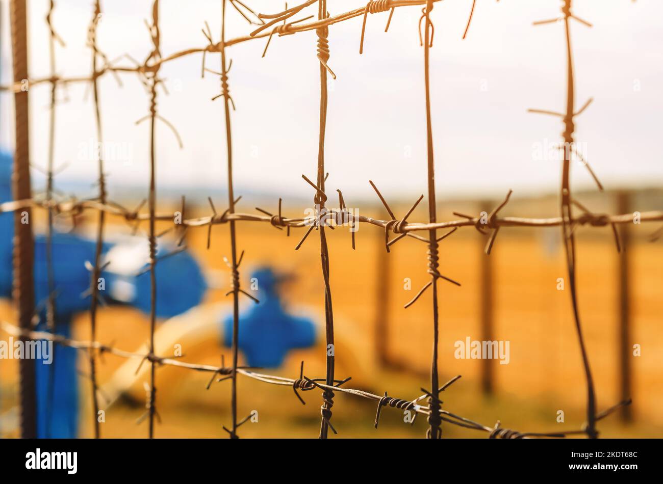 barbed wire stretched fence Stock Photo - Alamy barbed wire stretched fence Stock Photo - Alamy