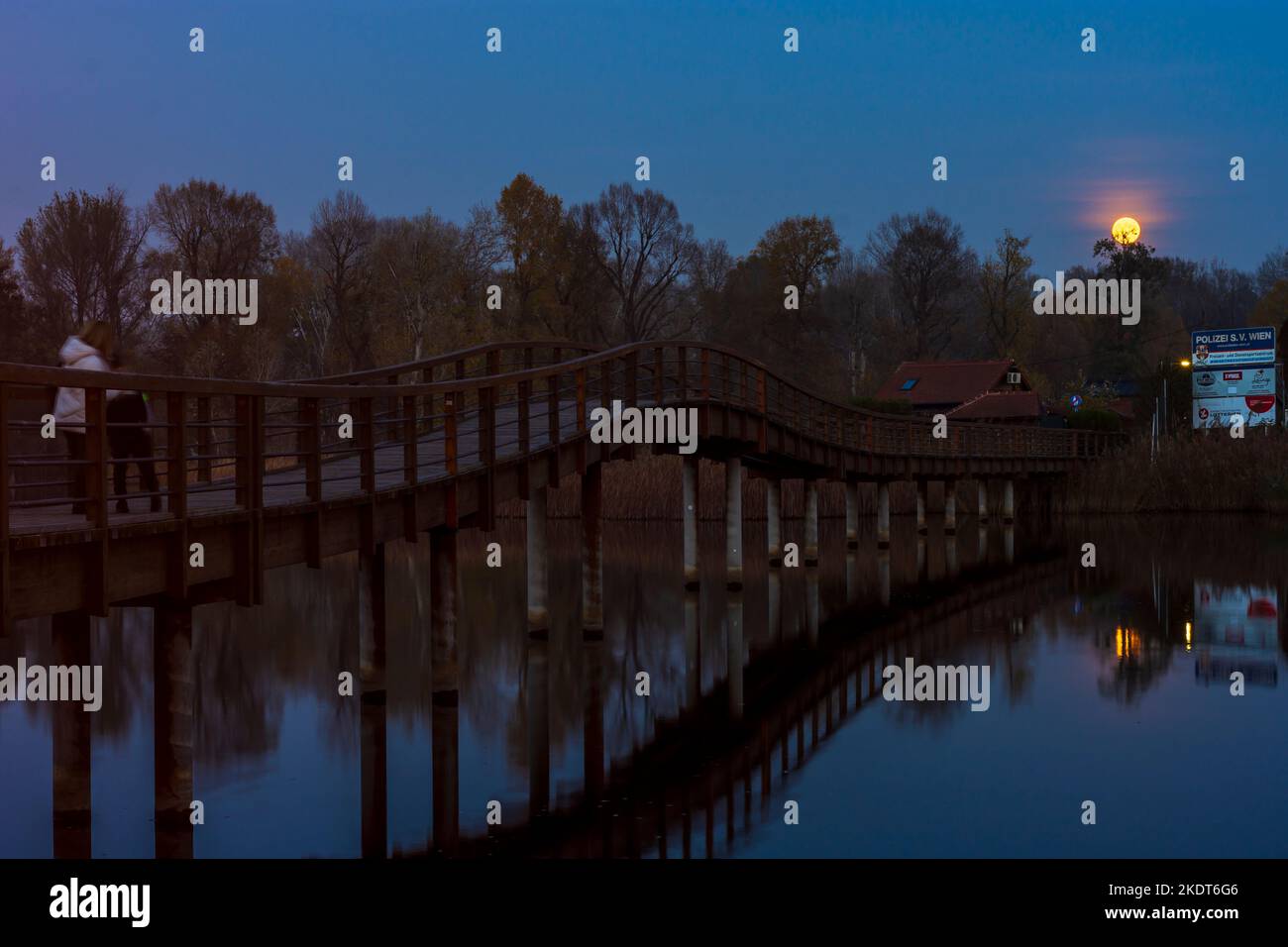 Wien, Vienna: full moon above oxbow lake Untere Alte Donau, bridge ...