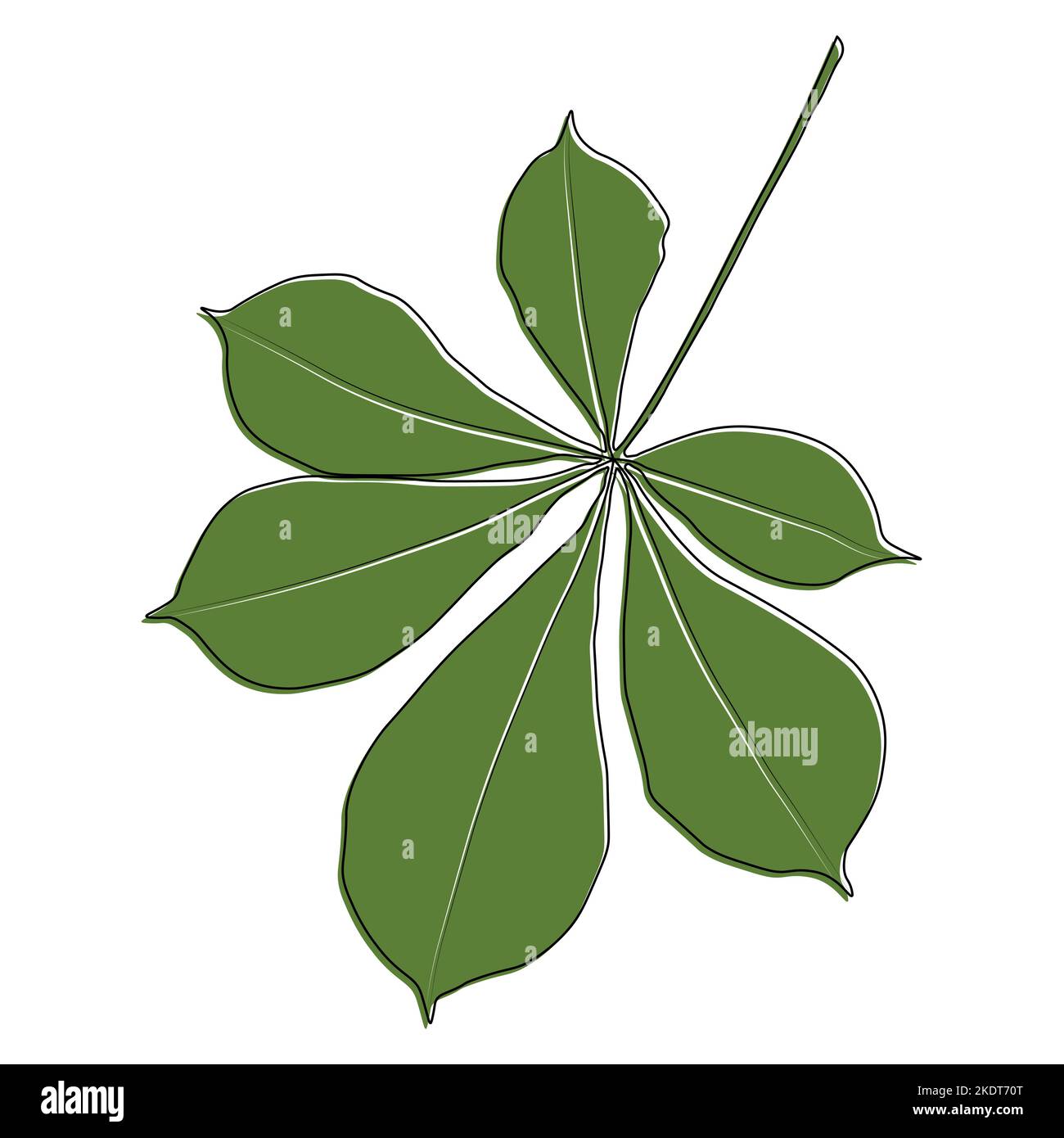 Vector chestnut leaf outline and coloured icon. Simple chestnut leaves ...