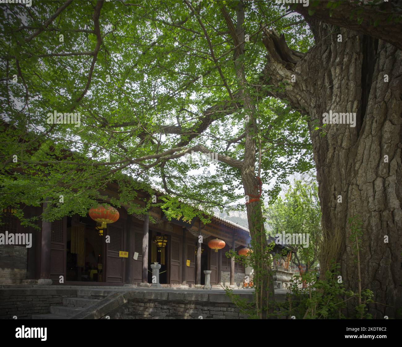 Lingyan temple nine mountain Stock Photo - Alamy