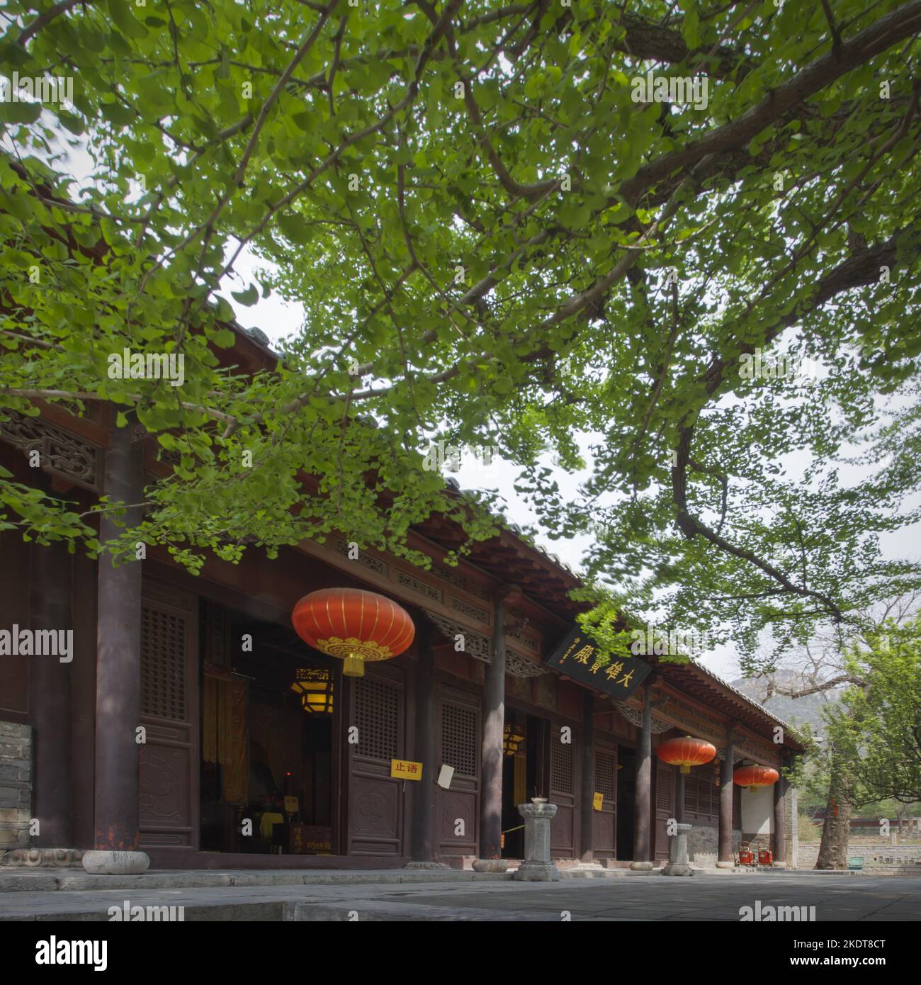 Lingyan temple nine mountain Stock Photo - Alamy