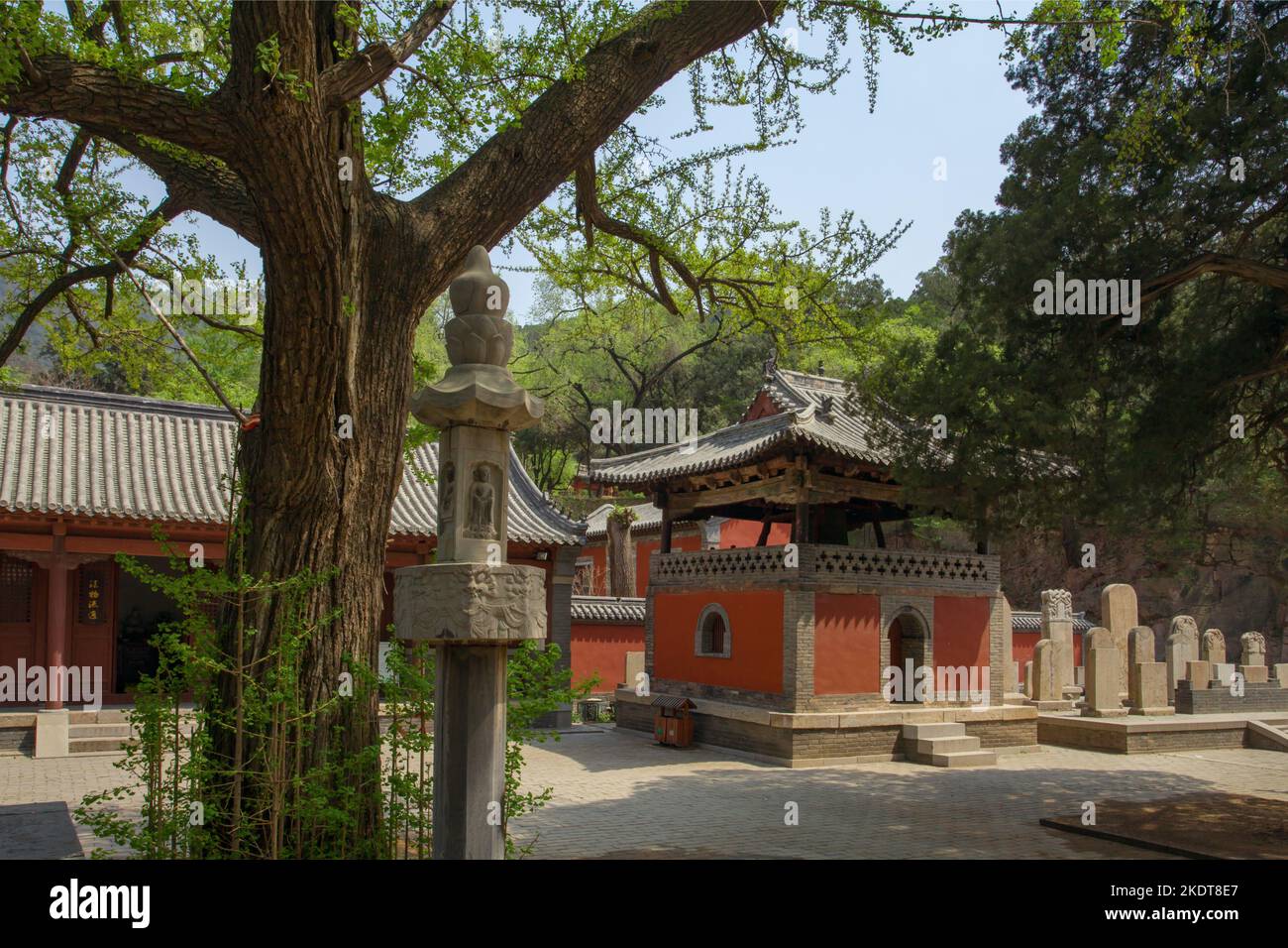 Lingyan temple nine mountain Stock Photo - Alamy