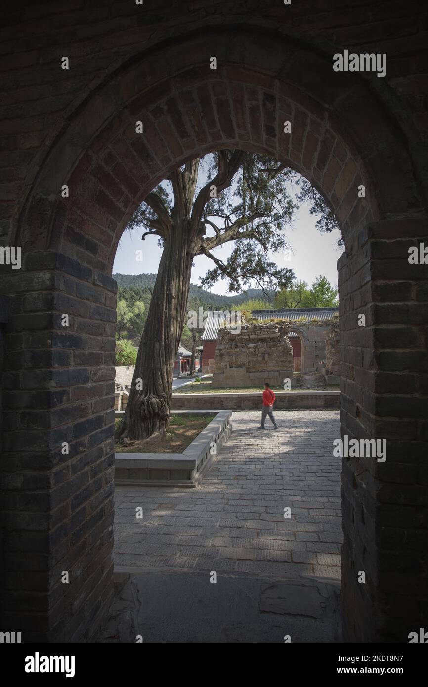 Lingyan temple nine mountain Stock Photo - Alamy