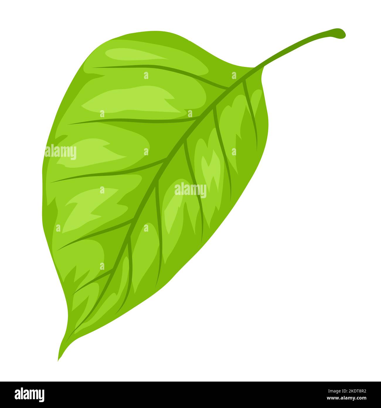 Illustration of spring leaf. Beautiful decorative plant Stock Vector ...
