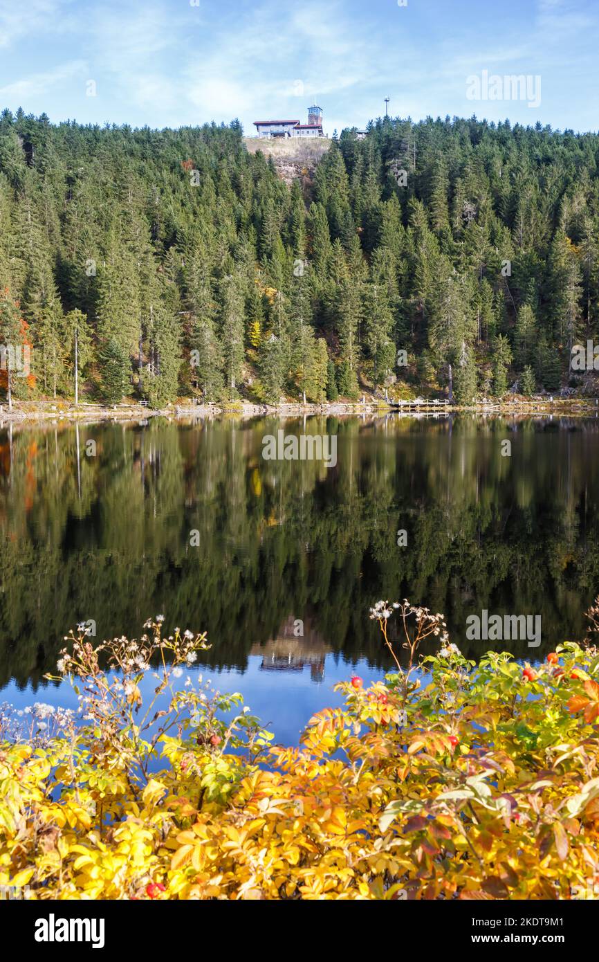 Seebach, Germany - October 29, 2021: Mummelsee And Mountain ...