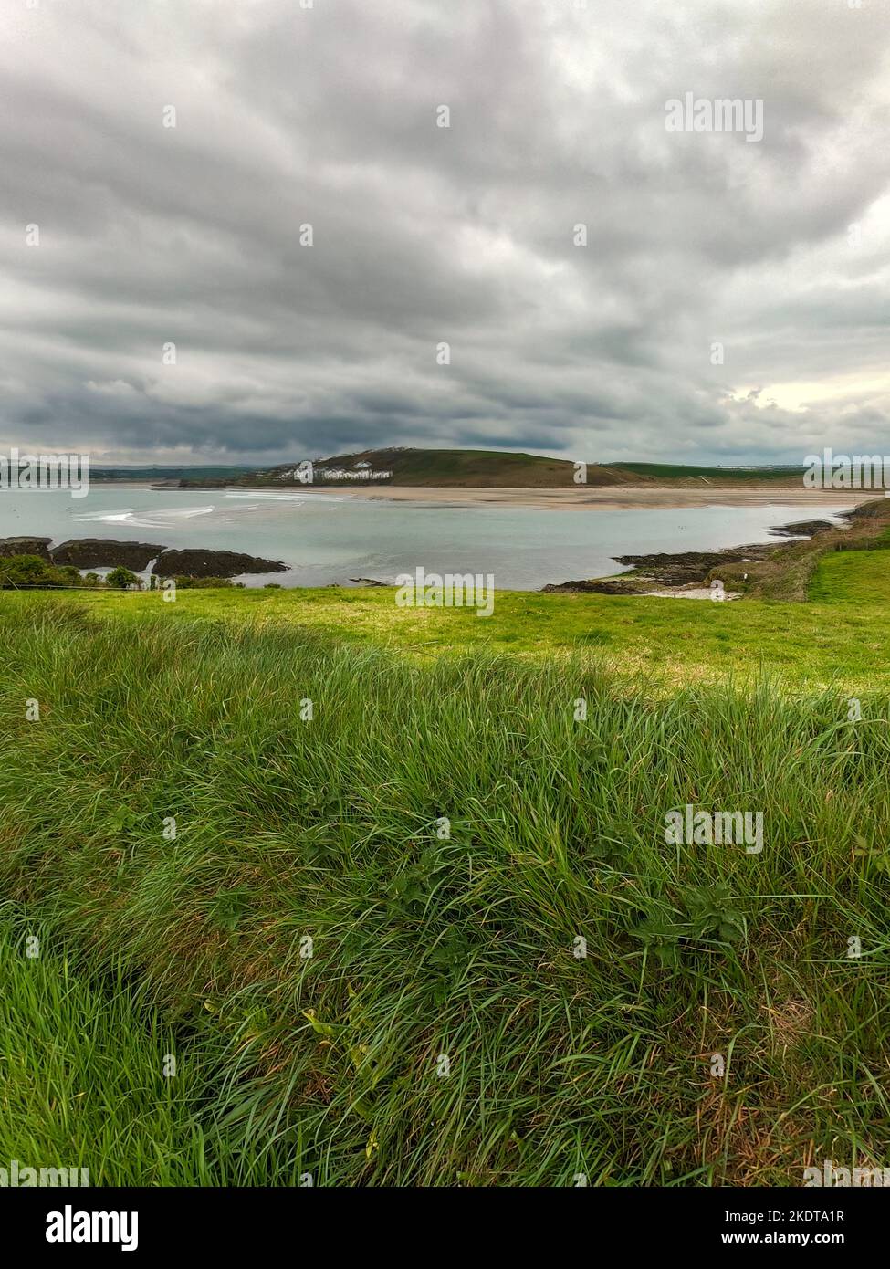Thick green grass on a hill near the sea bay. Cloudy sky over ...