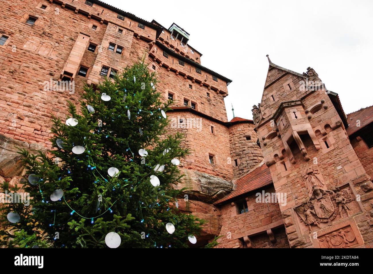 Christmas in Castle. Haut-Koenigsbourg castle decorated with Christmas ...