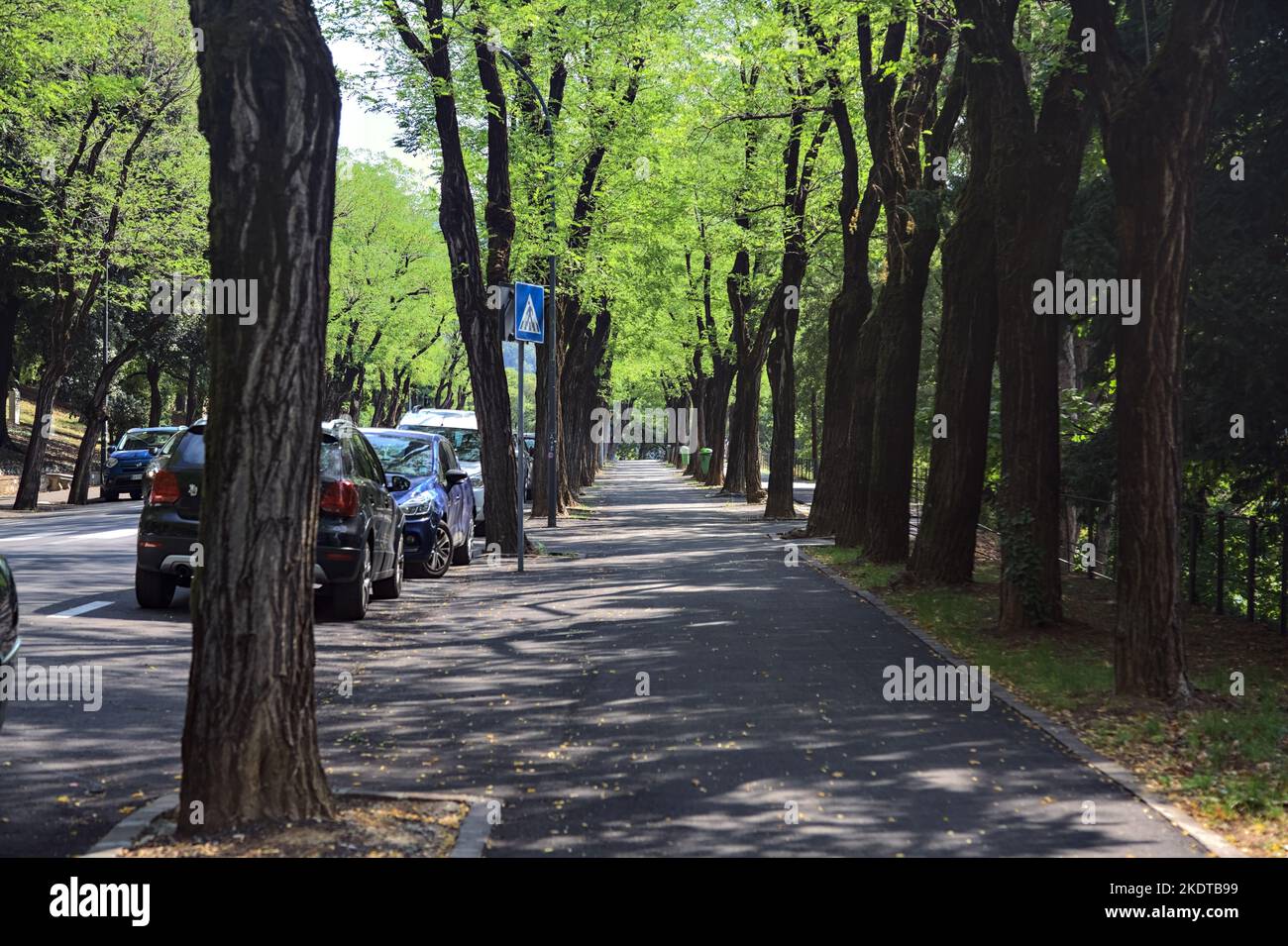 Pavement by the edge of a road in a park on a hill Stock Photo - Alamy