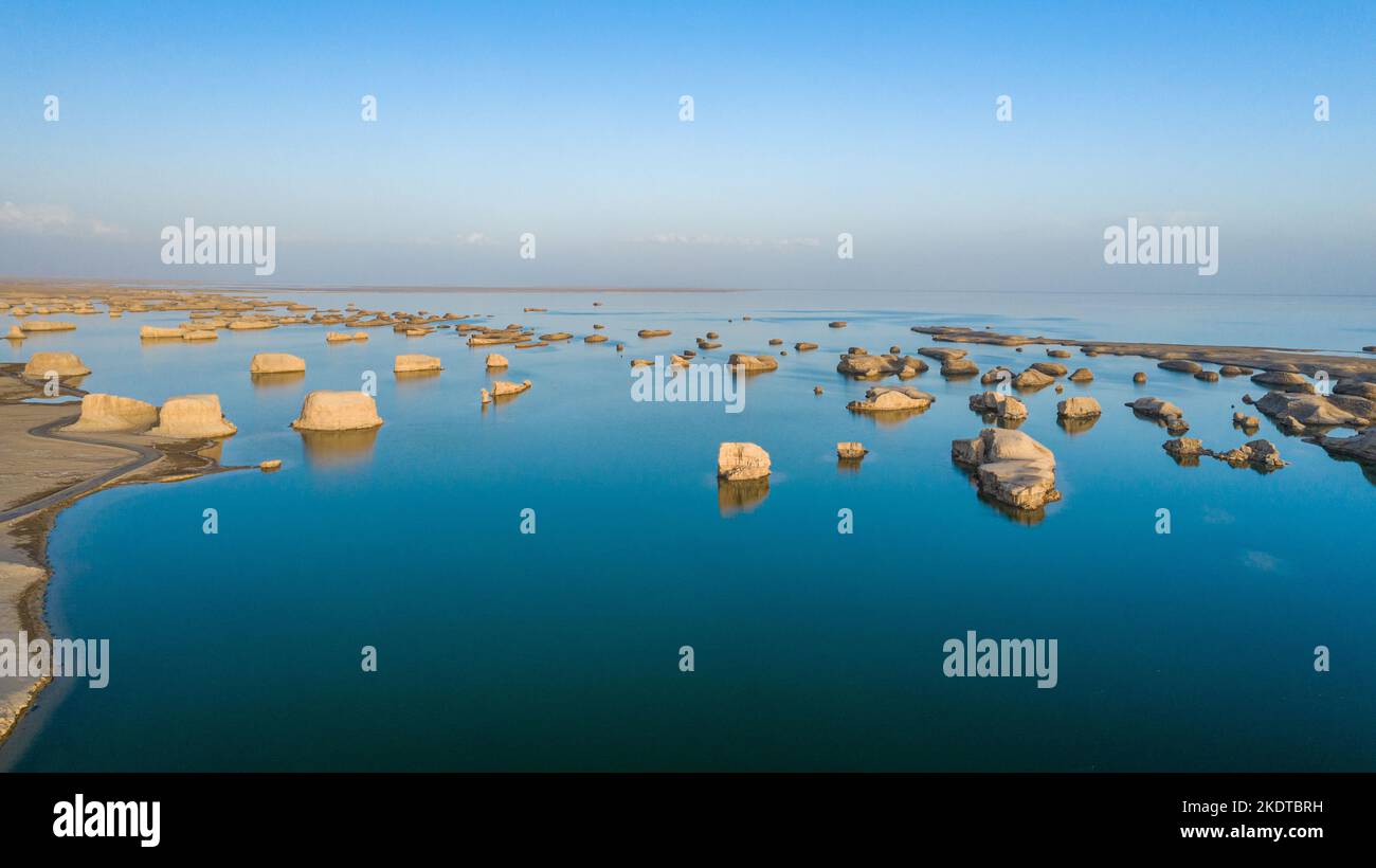 Aquatic yadan hi-res stock photography and images - Alamy