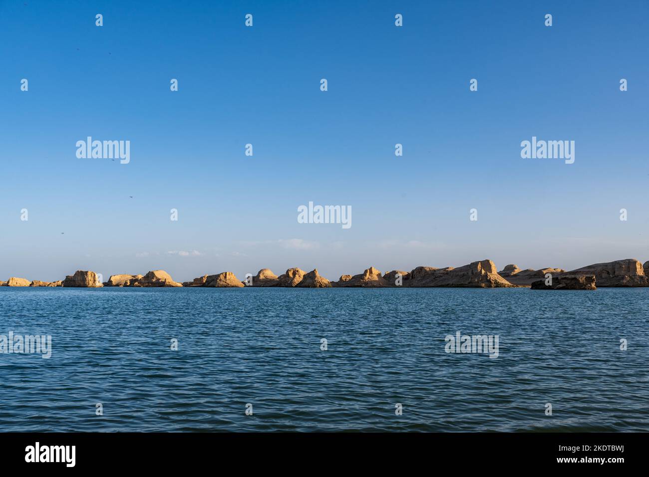 Aquatic yadan hi-res stock photography and images - Alamy