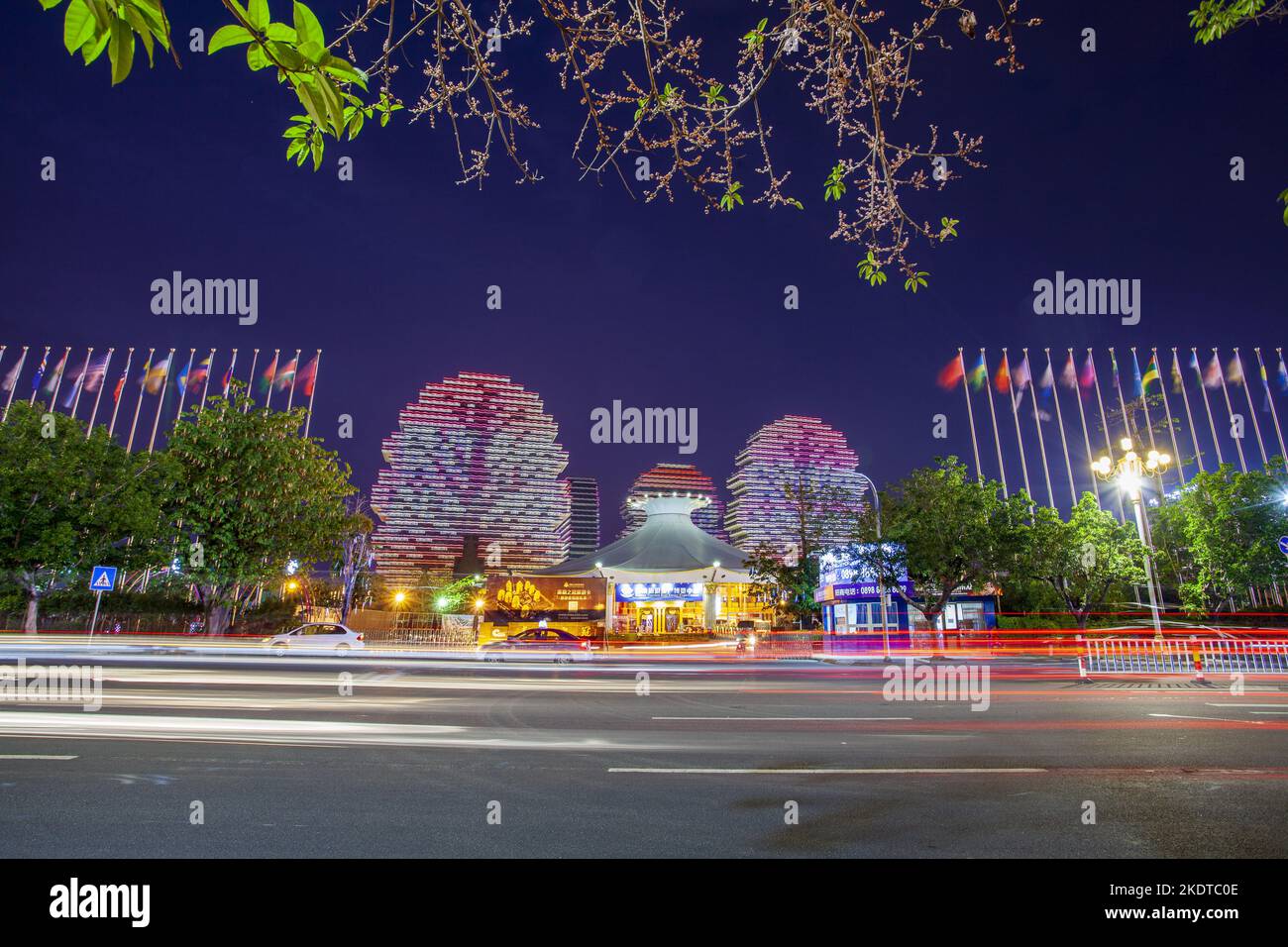 Beautiful tree crown of residence hi-res stock photography and images ...