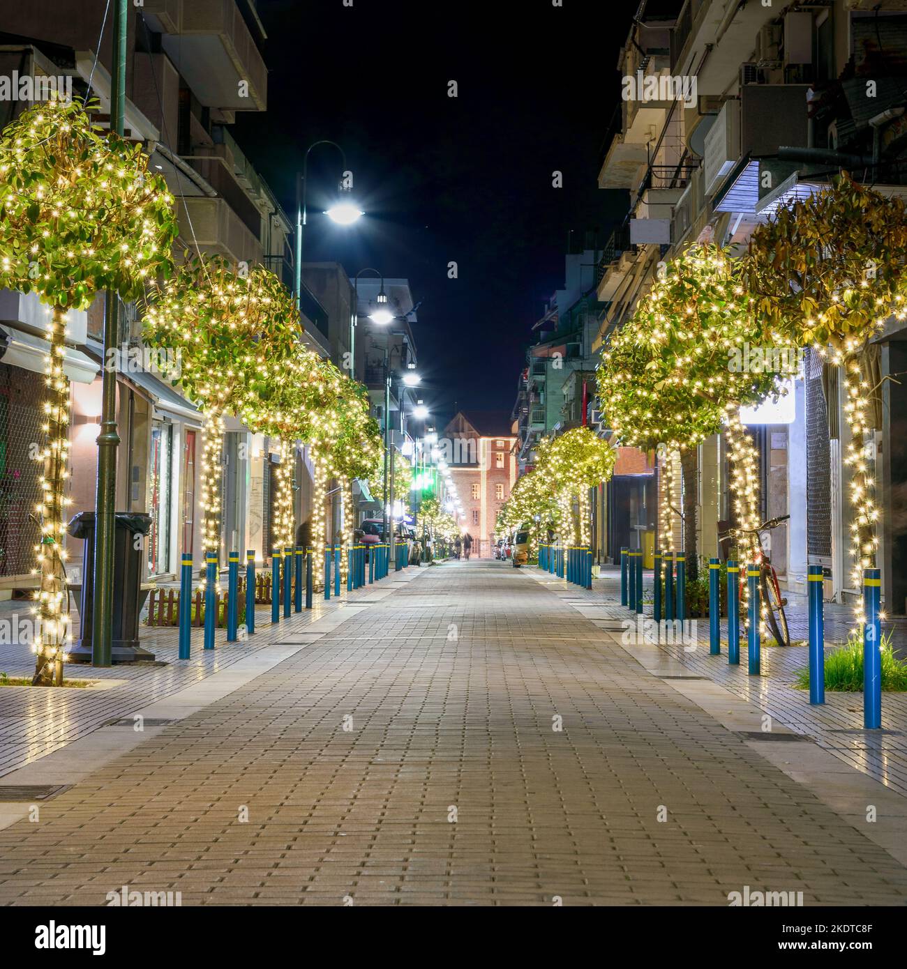 Promenade with trees decorated with Christmas lights Stock Photo - Alamy