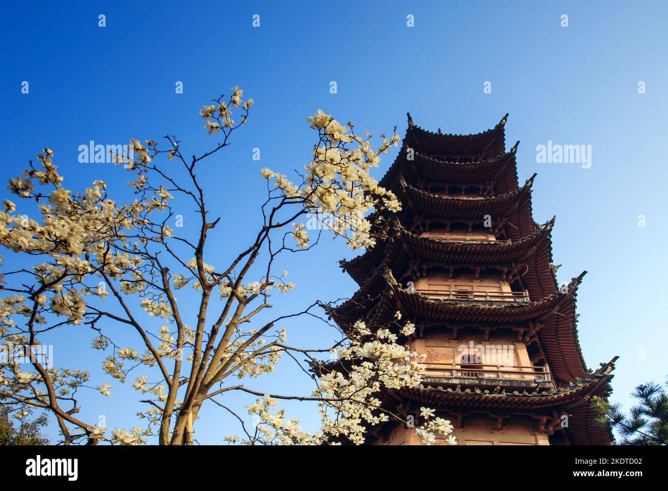 Ningbo characteristic scenic area hi-res stock photography and images ...