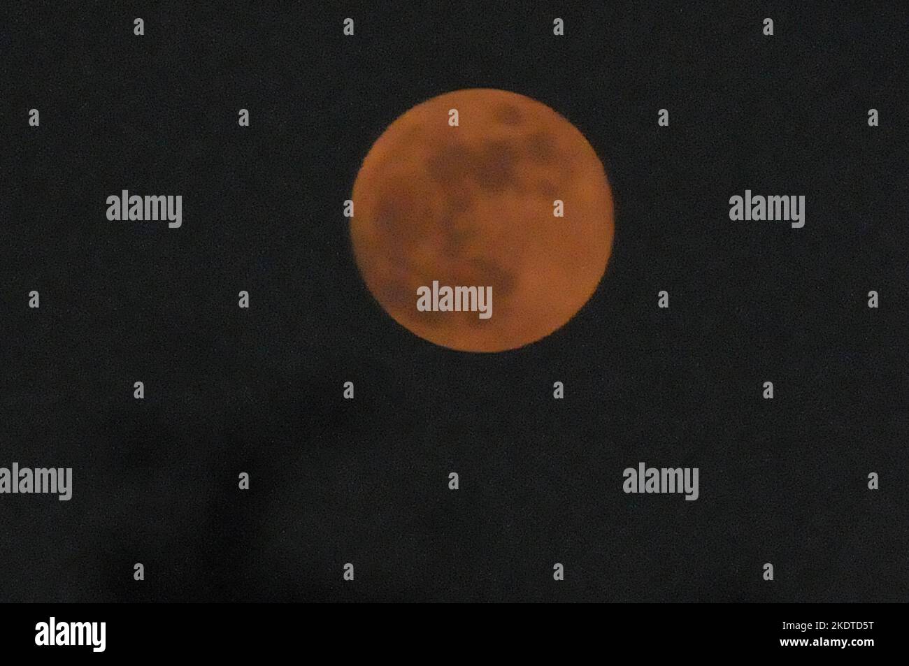 Delhi, New Delhi, India. 8th Nov, 2022. Full Moon in the sky during the ...