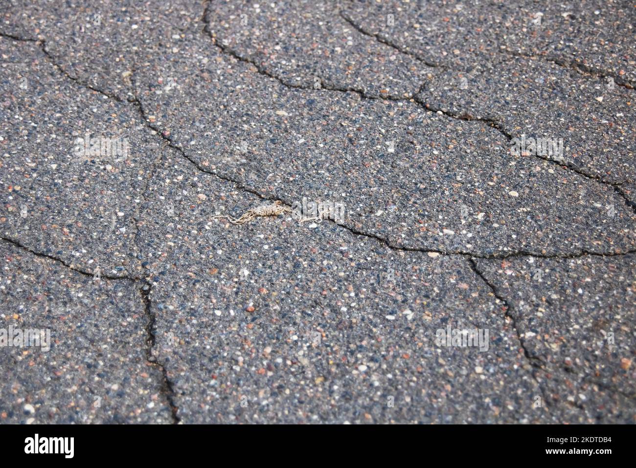 Roughness road hi-res stock photography and images - Alamy